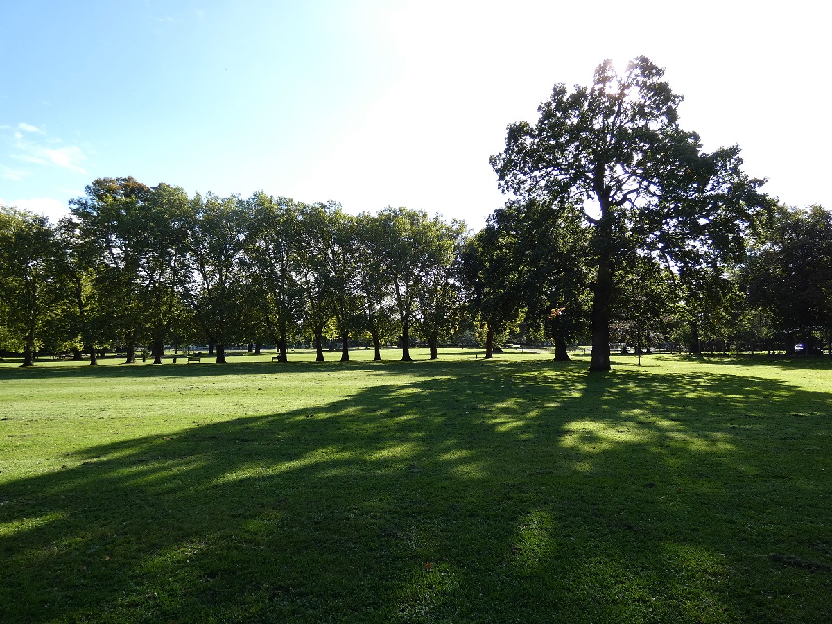 Mission to make Haringey's parks more inclusive - Haringey Community Press
