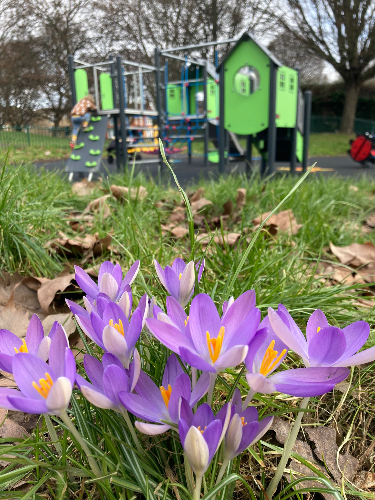 Tottenham park gets fresh new look - Haringey Community Press