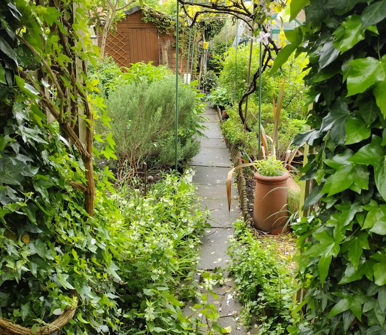Beautiful Tottenham back garden set to open to public for one day only ...