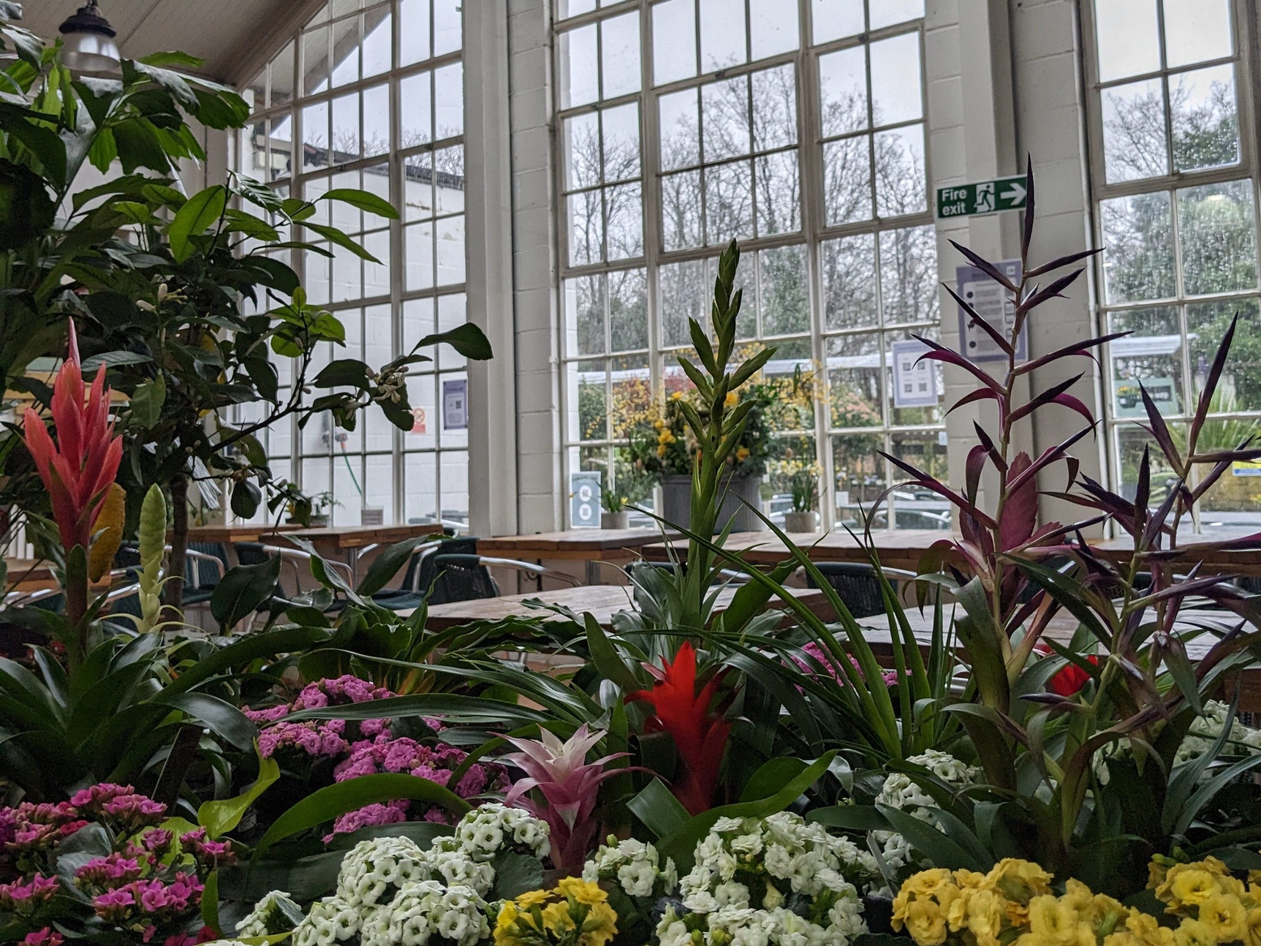 Advertorial: Welcome to Alexandra Palace Garden Centre and Café ...